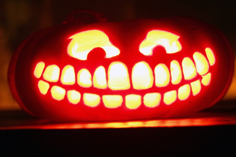 Grow Cinderella Pumpkins for High Yield Harvests.