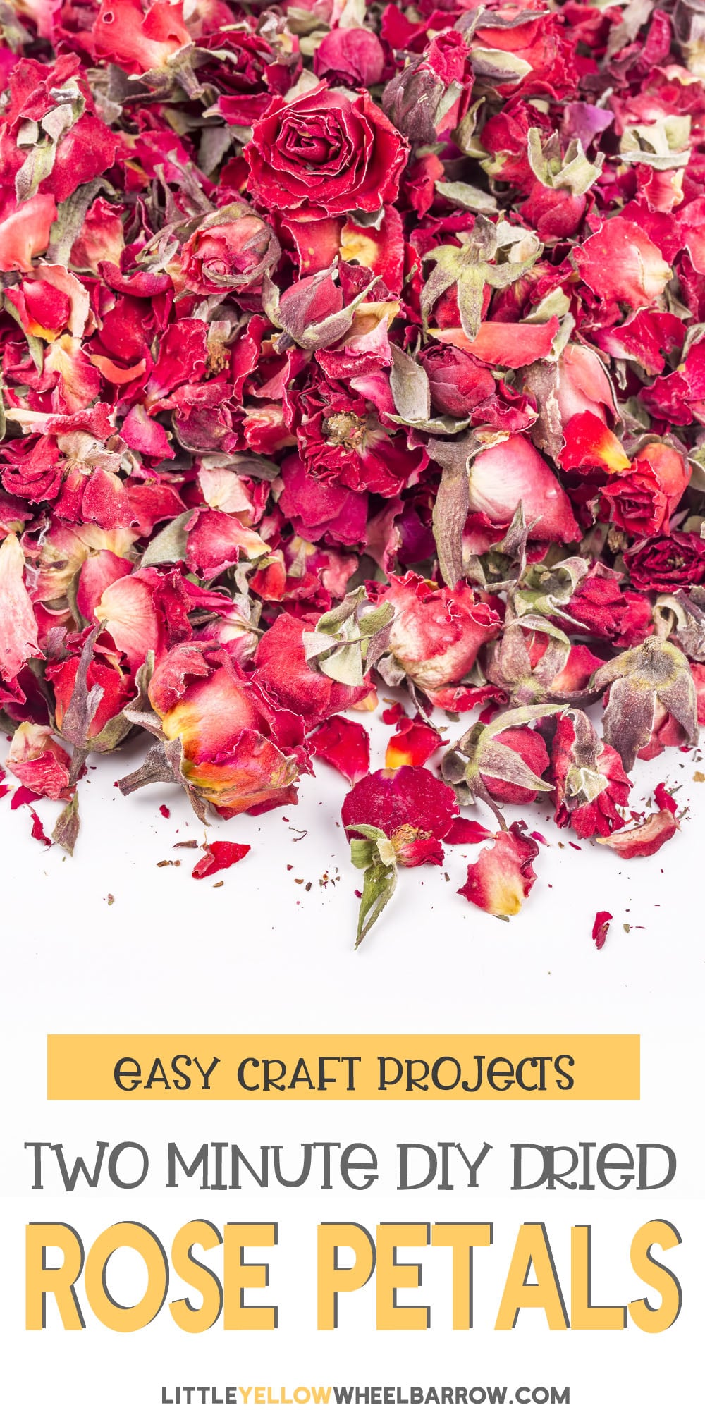 How to Dry Rose Petals In Under Two Minutes Flat (2022)