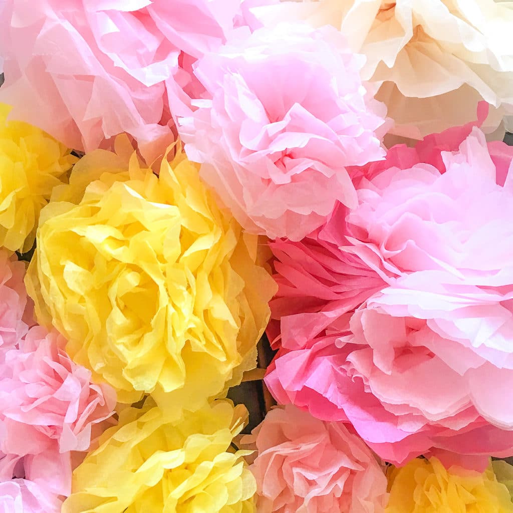 How To Make Tissue Paper Pom Poms
