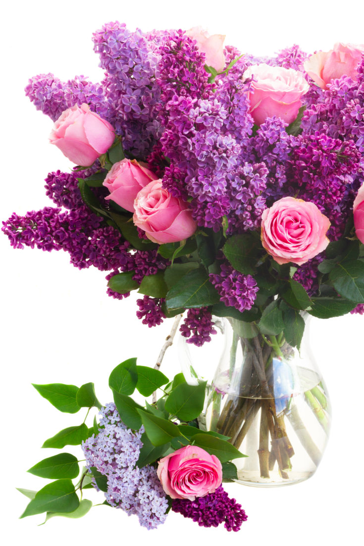 The Best Smelling Flowers: A Garden Scent Guide