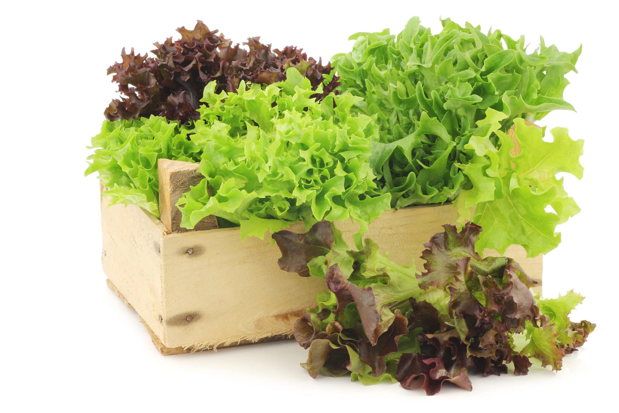 Vegetable Container Gardening: 15 Veggies to Grow in Pots