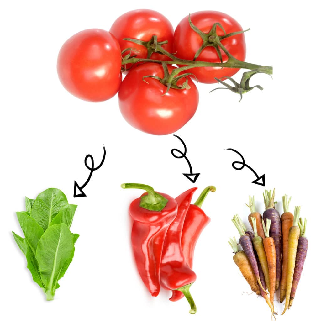 Companion Planting Vegetables for Higher Yields and Healthier Gardens