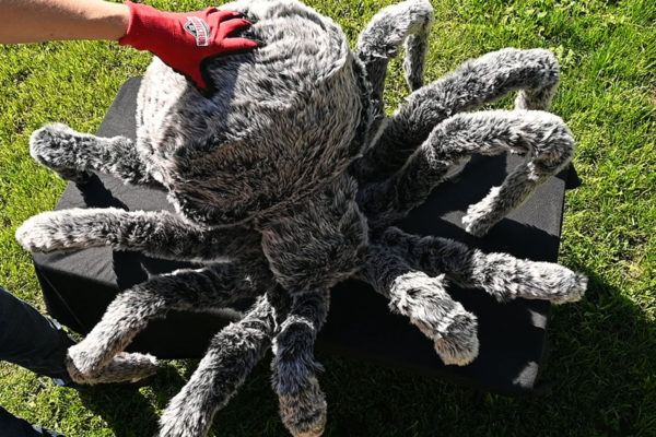 DIY Giant Halloween Spider Decoration to Scare Your Neighbours
