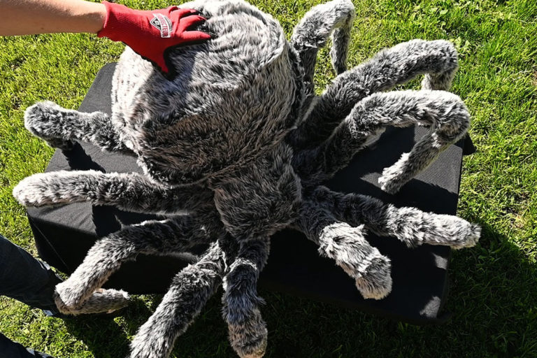 DIY Giant Halloween Spider Decoration to Scare Your Neighbours