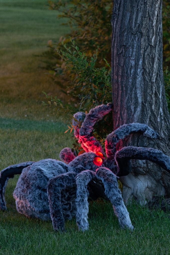 DIY Giant Halloween Spider Decoration to Scare Your Neighbours