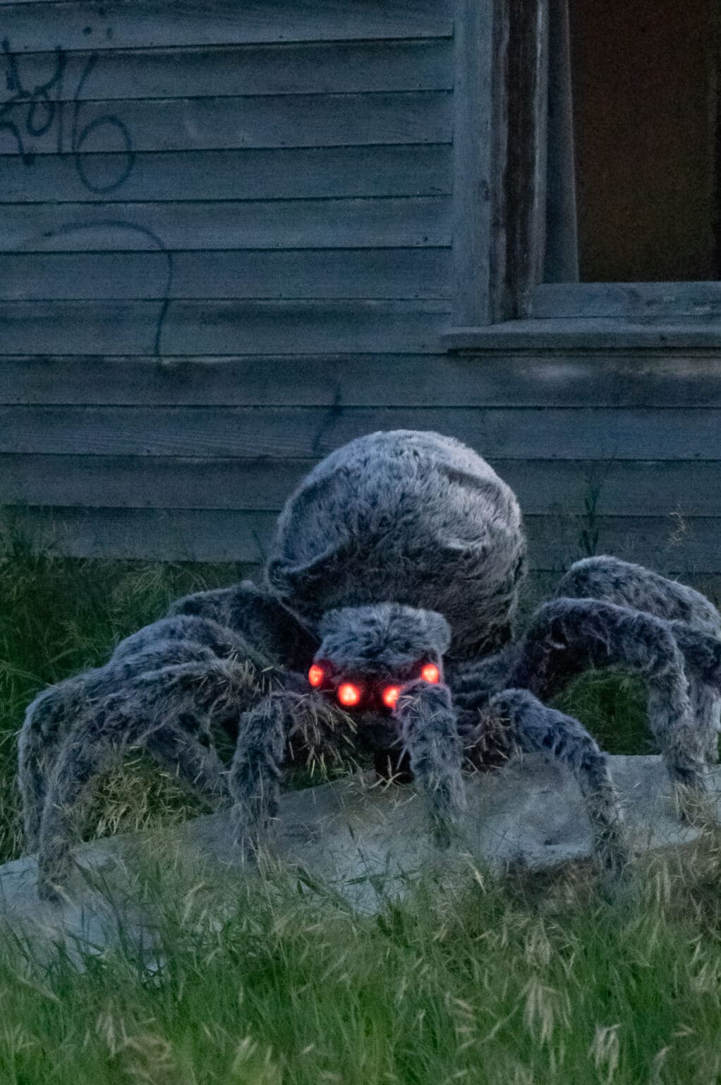 DIY Giant Halloween Spider Decoration to Scare Your Neighbours