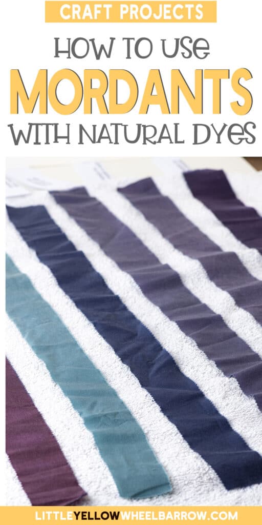 Mordants for Natural Dyes - What You Need to Know
