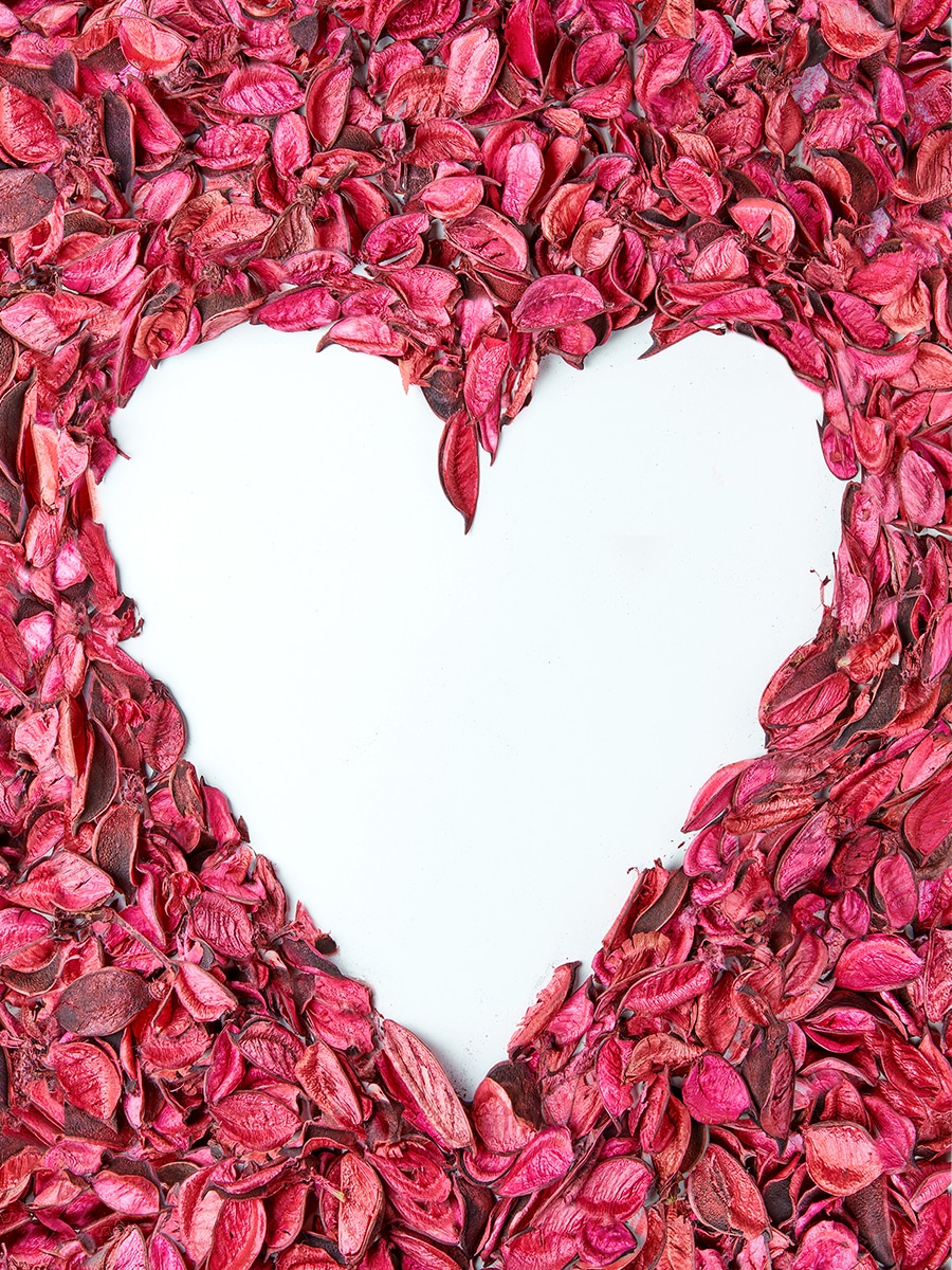 How To Dry Rose Petals Story Little Yellow Wheelbarrow