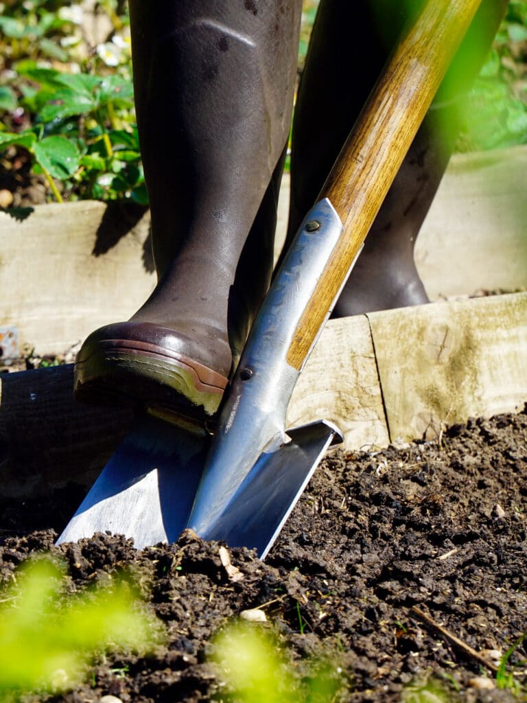 The Best Gardening Tools For Every Beginner Gardener