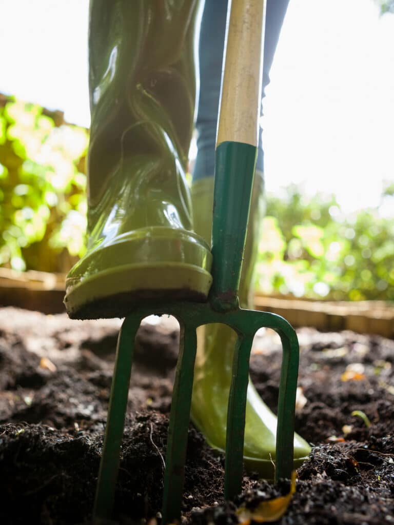 The Best Gardening Tools For Every Beginner Gardener
