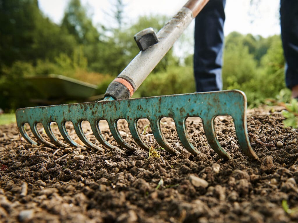 The Best Gardening Tools For Every Beginner Gardener