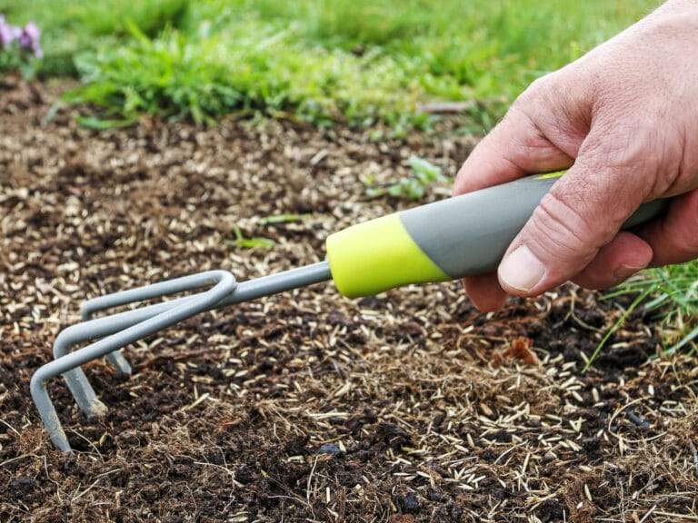 The Best Gardening Tools For Every Beginner Gardener
