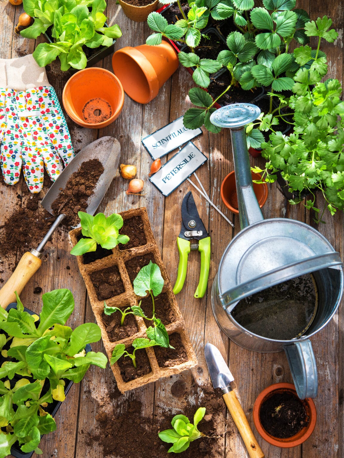 Spring Gardening: Here's Everything You Need To Know