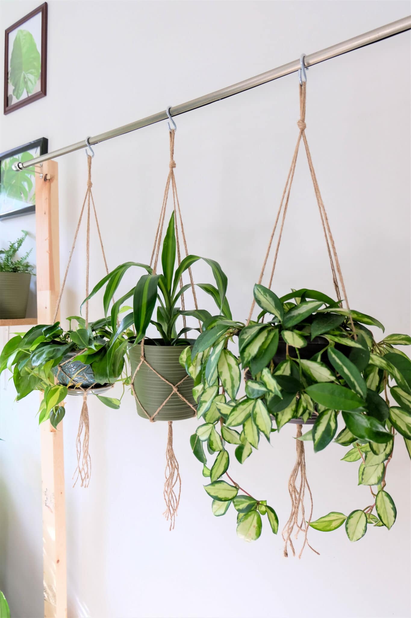 Helpful Checklist of Must-Have Indoor Gardening Supplies