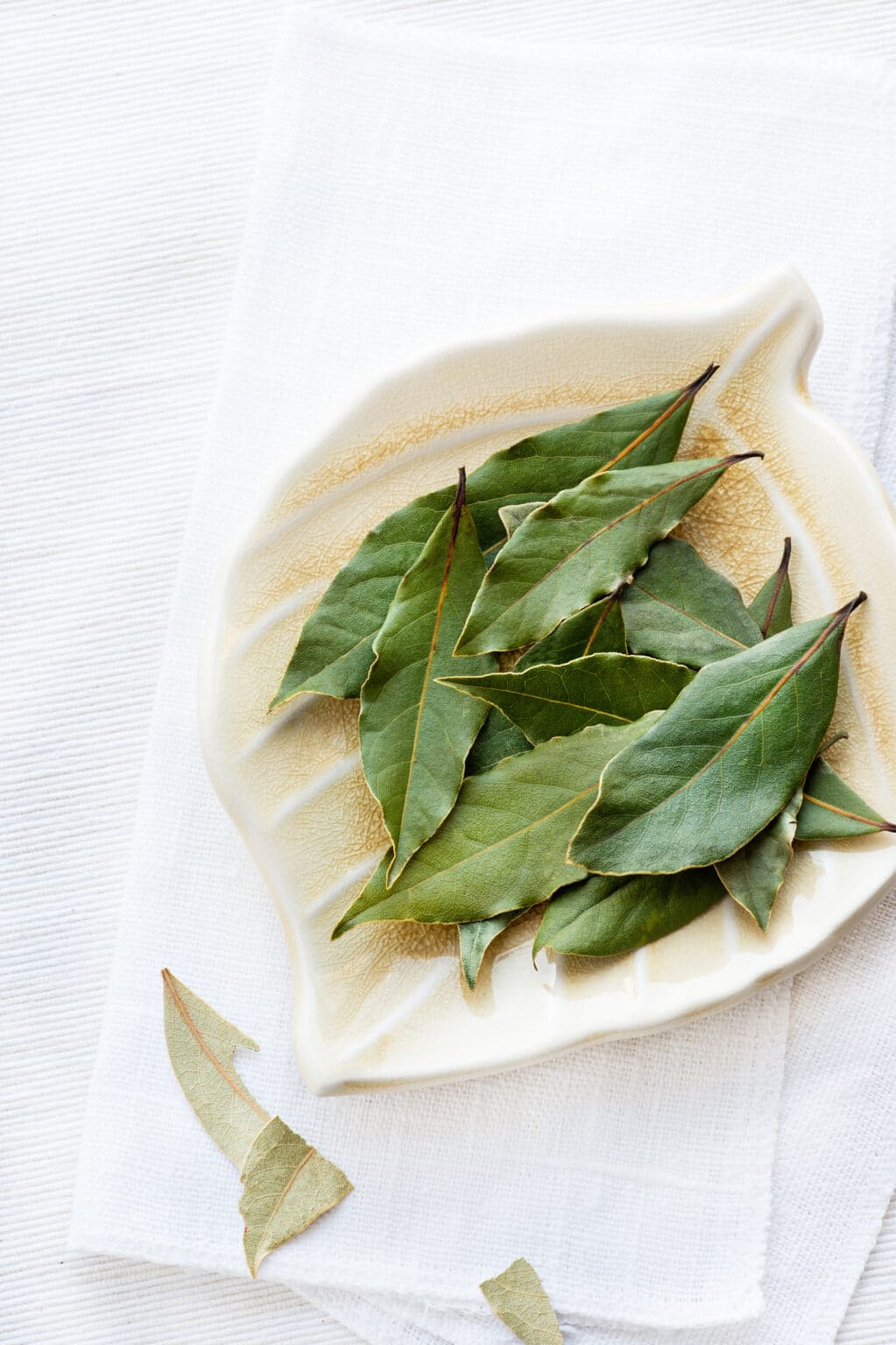 Bay Leaf Plant: How To Grow, Harvest & Use Them