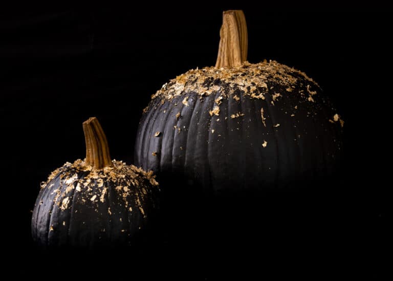 Black Pumpkin Display for Halloween - Easy, Quick, and Cheap!