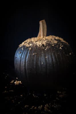 Black Pumpkin Display for Halloween - Easy, Quick, and Cheap!