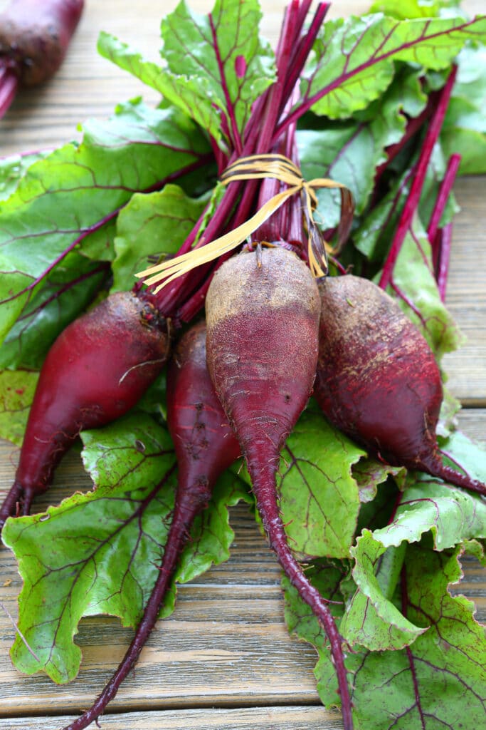 Growing Beets in Containers: Essential Tips for Success