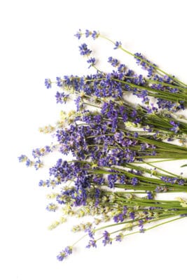 How To Dry Lavender (Preserving Methods And Tips)