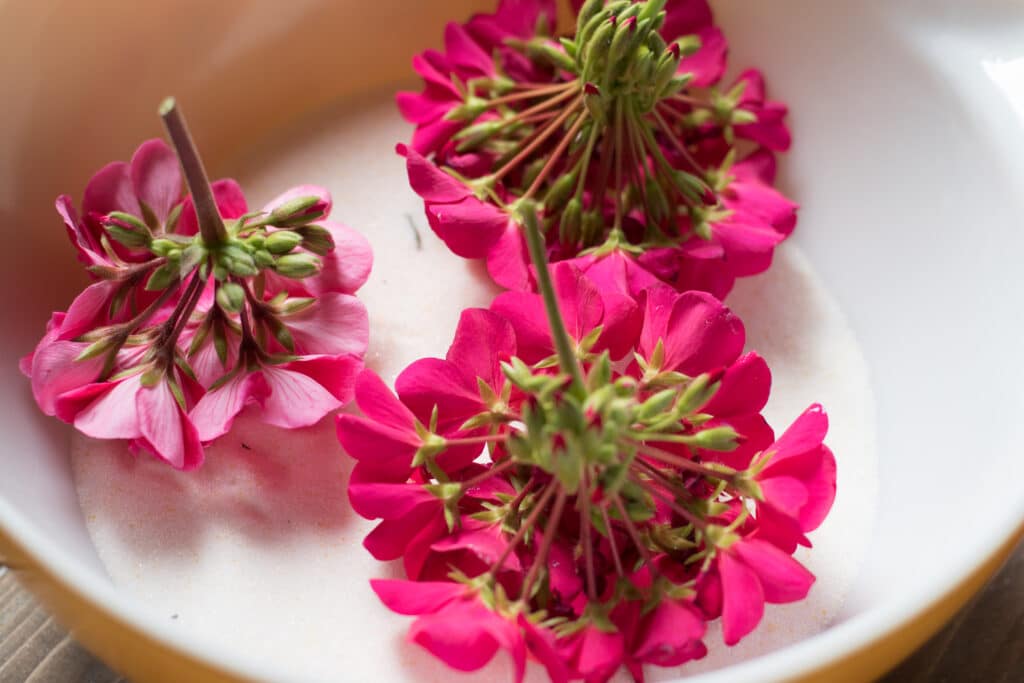 How to Dry Flowers - We Tested 5 Different Methods to Find the Best!