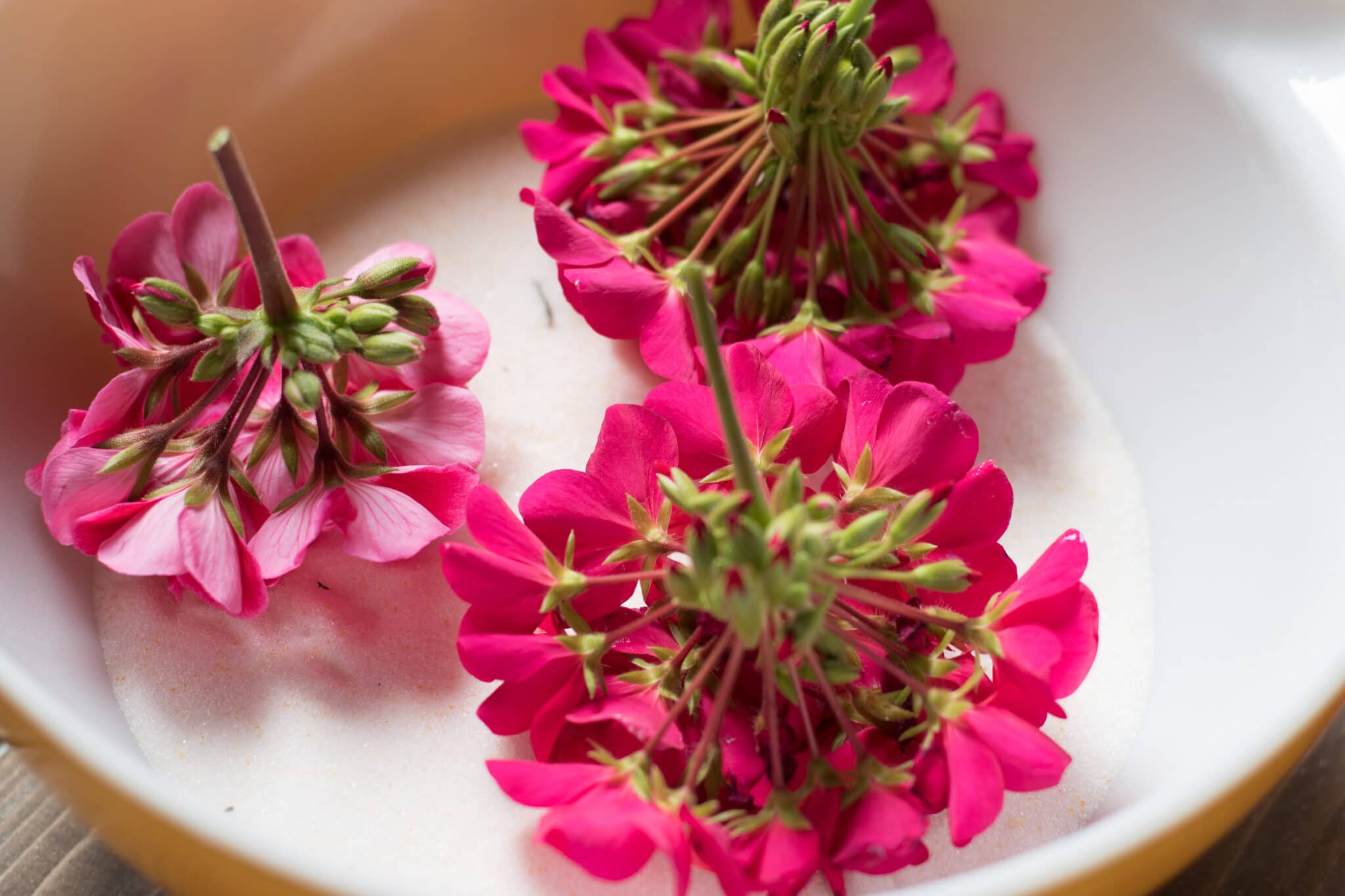 How To Dry Flowers And Keep Color