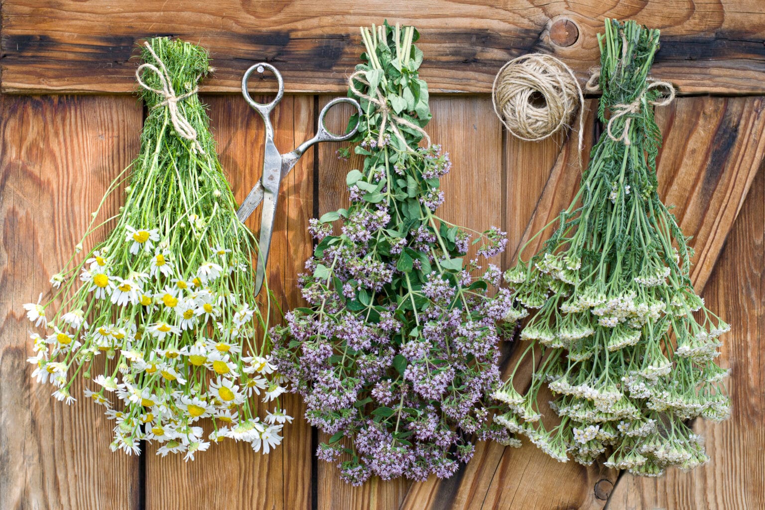 How to Dry Flowers - 5 top Methods Tested