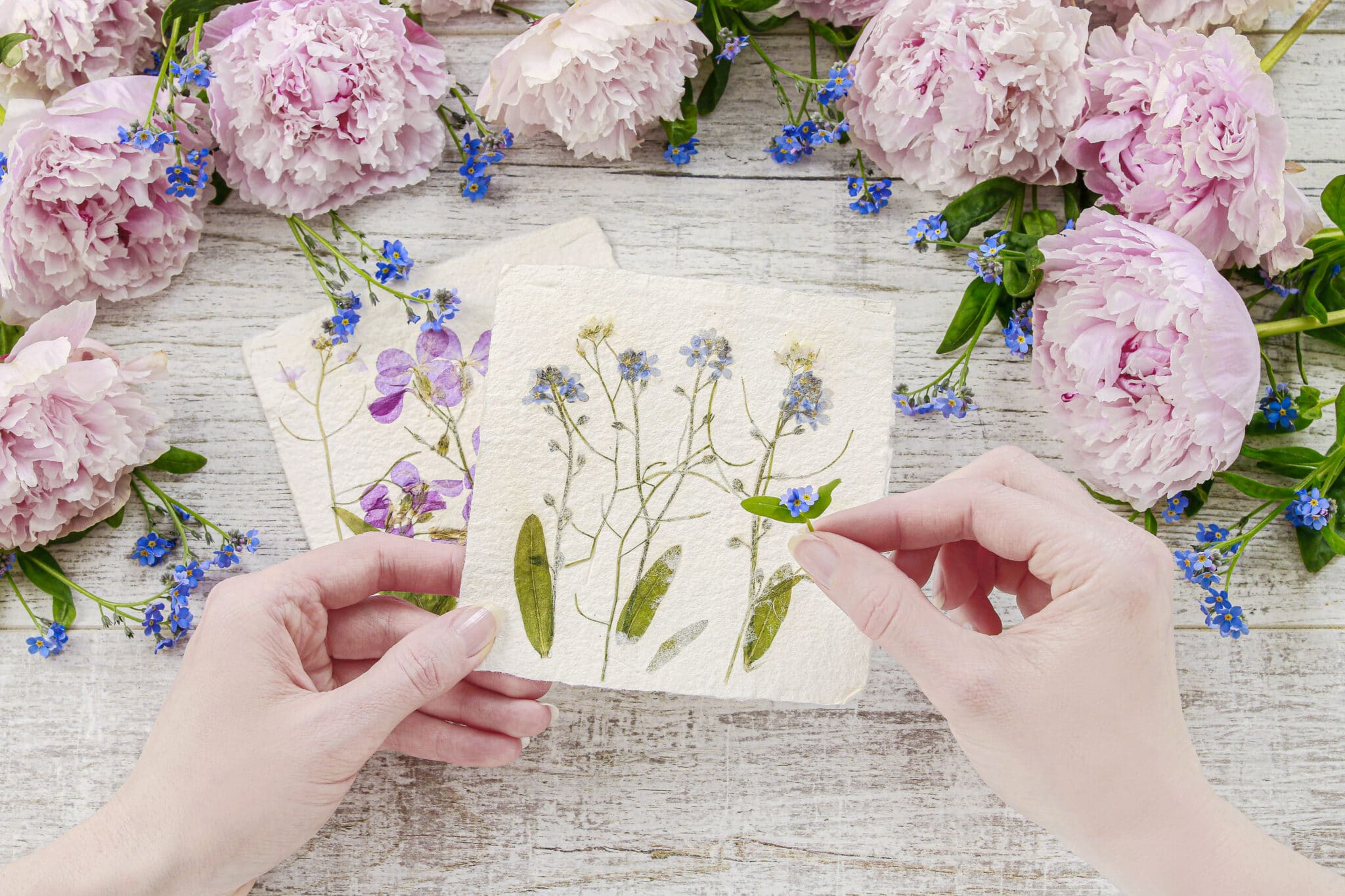Pojem Forenzn Medic na Cho te Na Okruh Drying Flowers With Borax