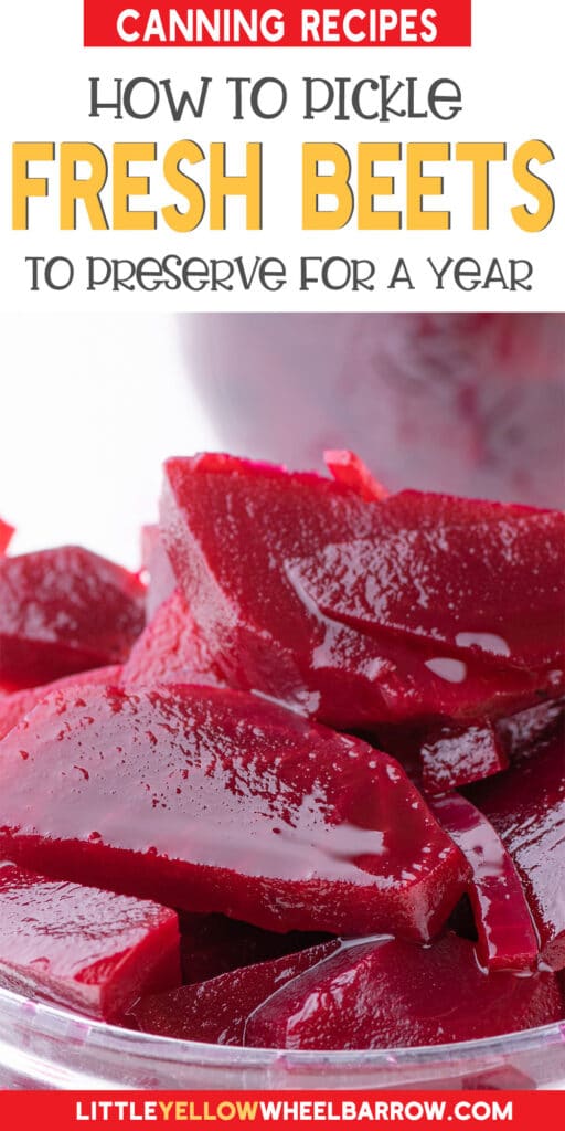 Canning Beets - Pickled, Spiced, and Easy!