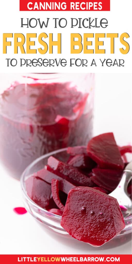 Canning Beets - Pickled, Spiced, and Easy!