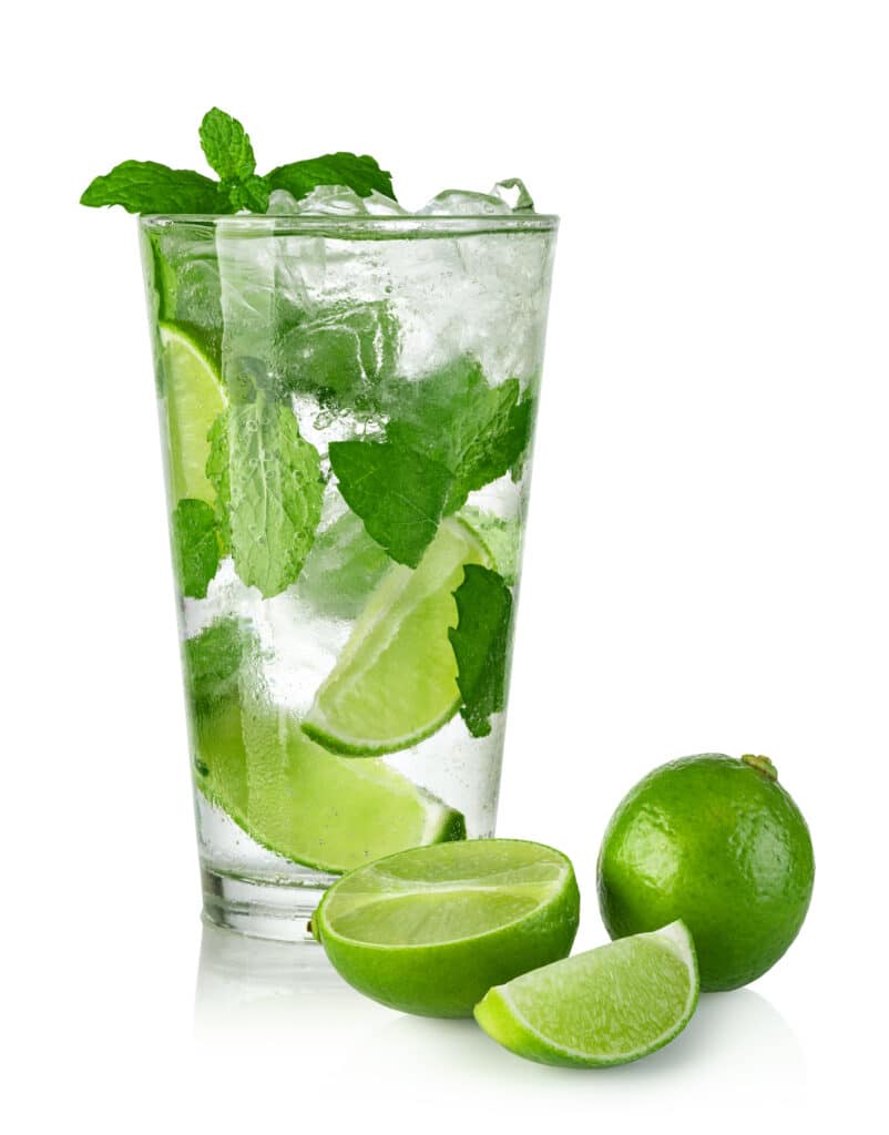 Types Of Mint Plants: How To Grow And Use Popular Mint Varieties