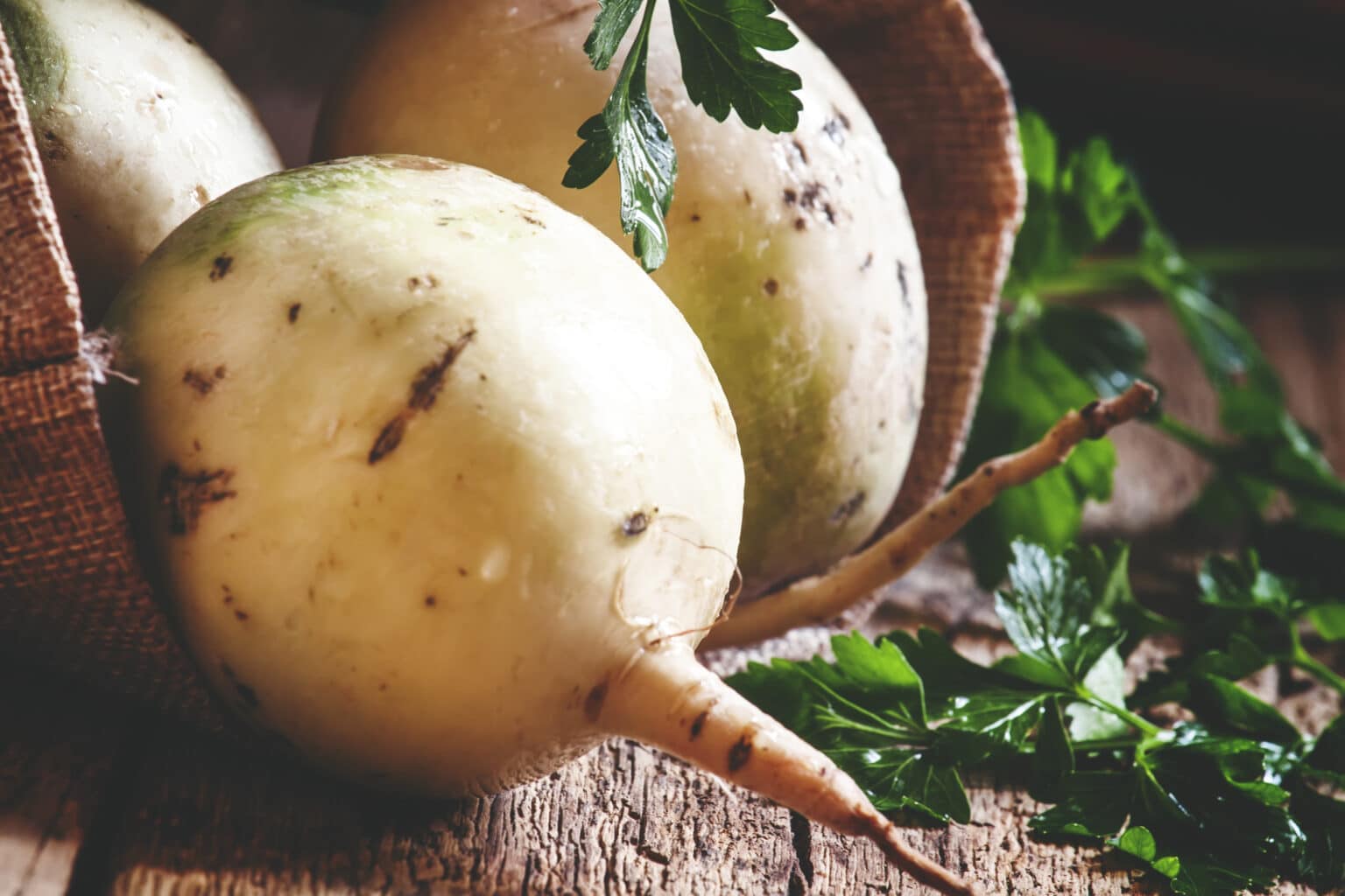 Turnip Companion Plants - Everything You Need to Know