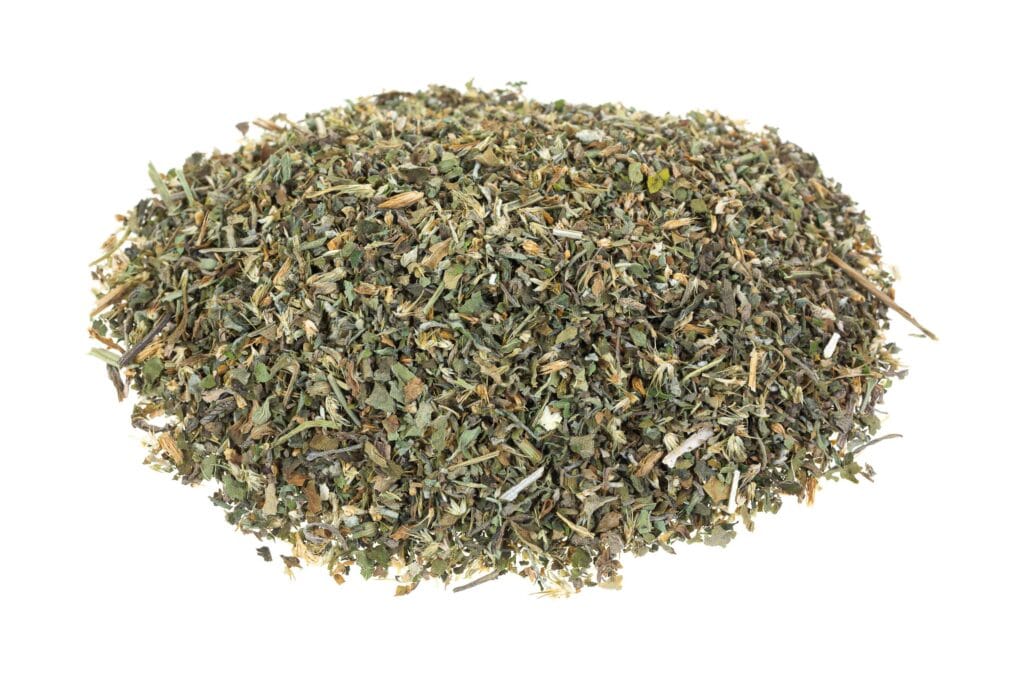 How To Grow Catnip From Seed to Harvest