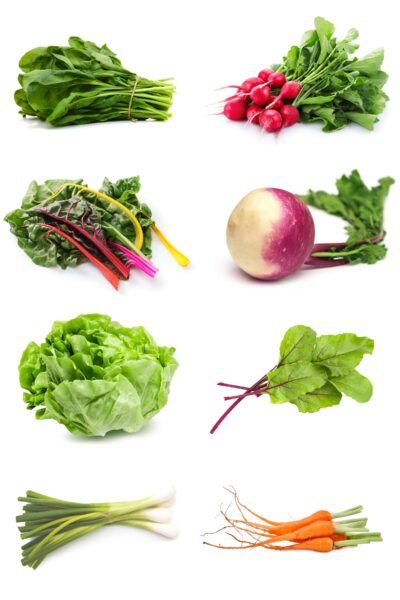 21 Fast Growing Vegetables You Can Grow in Under 60 Days