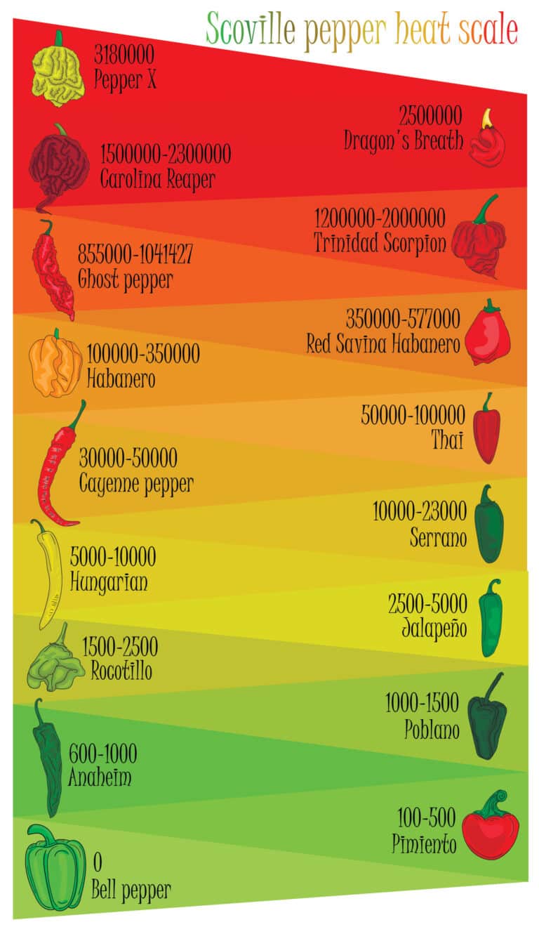 Jalapeño Scoville Heat Ranking - How Hot Are Jalapeno Peppers?