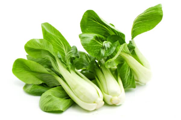 31 Vegetables That Grow in Shade For Gardens Without Full Sun