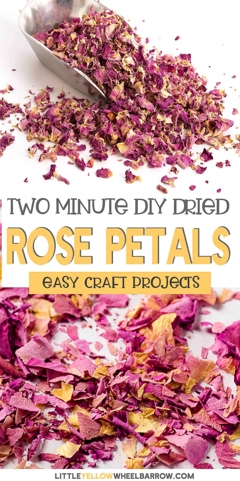 How to Dry Rose Petals In Under Two Minutes