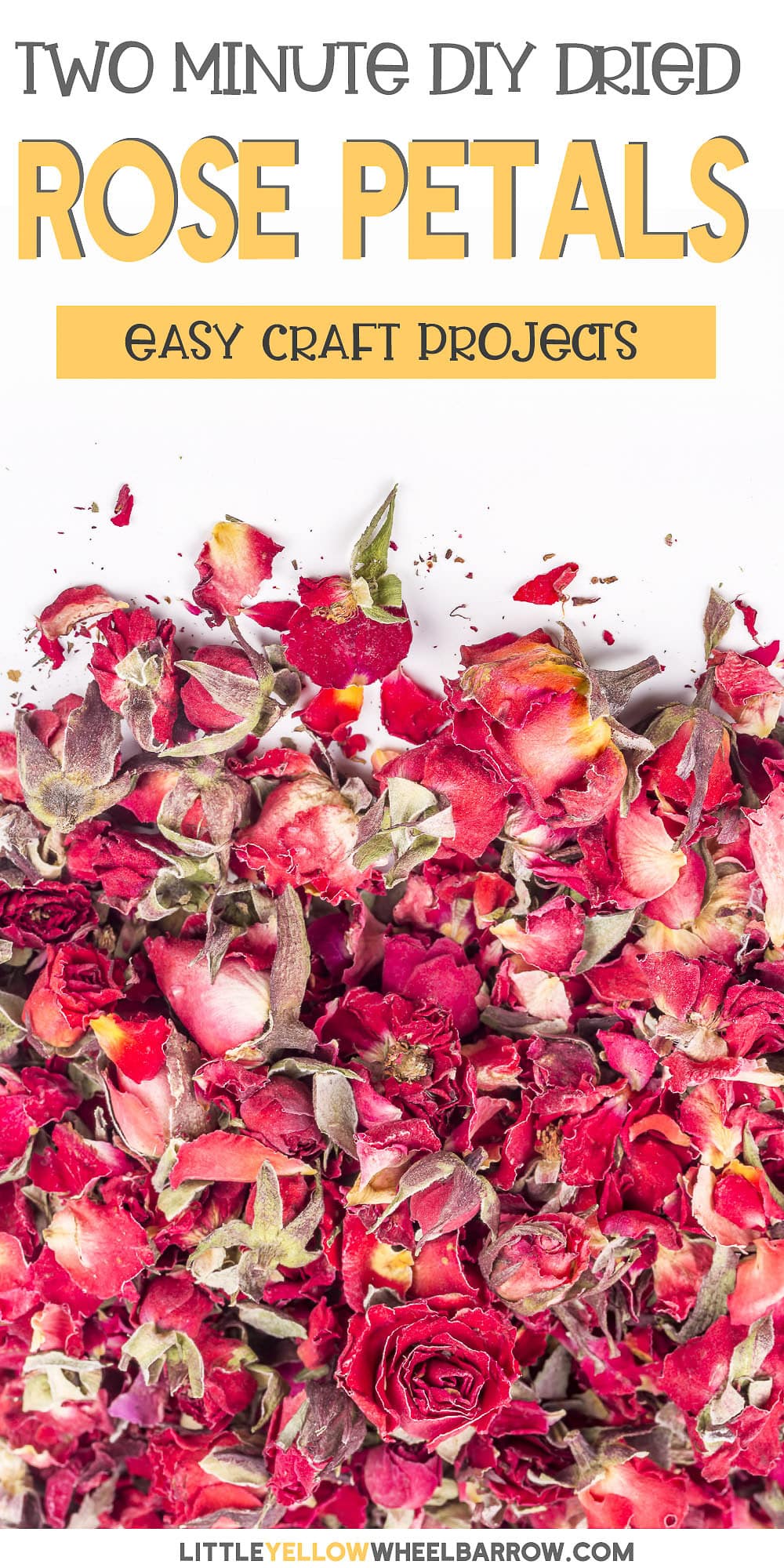 How to Dry Rose Petals In Under Two Minutes