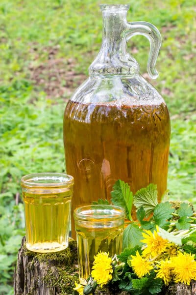 Which Flowers are Edible? A List of Edible Flowers and Their Uses!