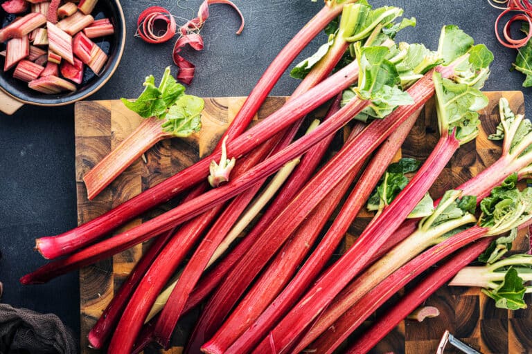 Harvesting Rhubarb: Tips and Techniques for a Bountiful Crop