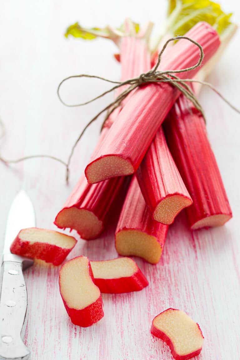 How to Grow Rhubarb - Big Healthy Harvest Guide