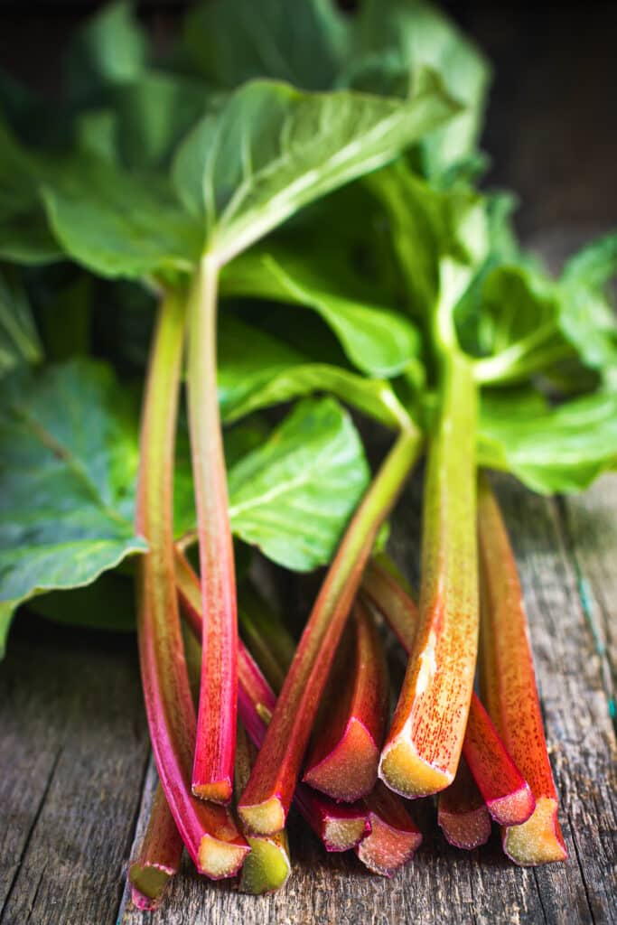 Harvesting Rhubarb: Tips and Techniques for a Bountiful Crop