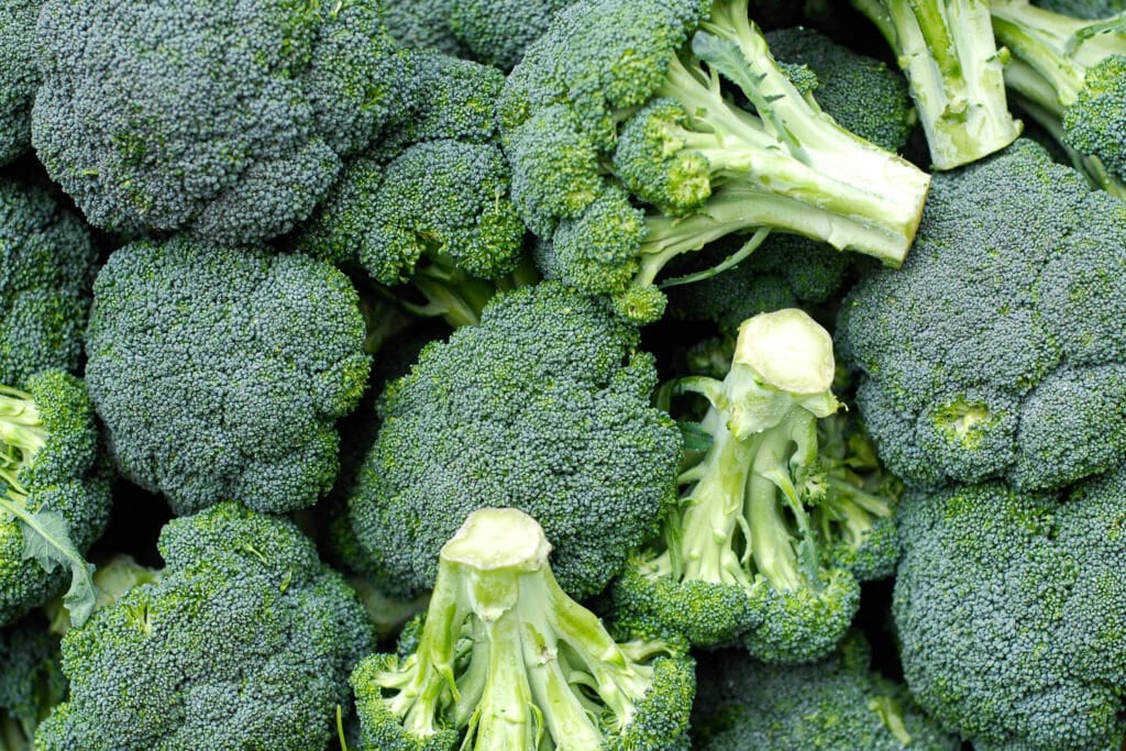 When to Harvest Broccoli for the Freshest and Most Flavorful Bites
