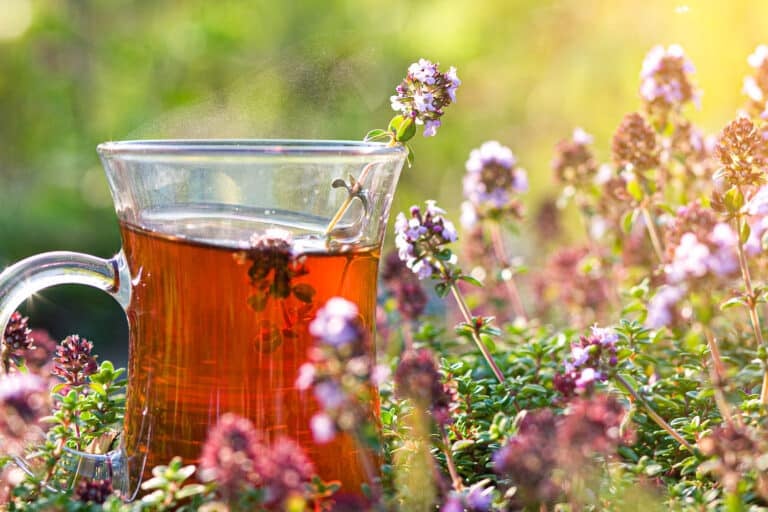 Tea Time Anytime: A Guide to Growing An Impressive Tea Garden