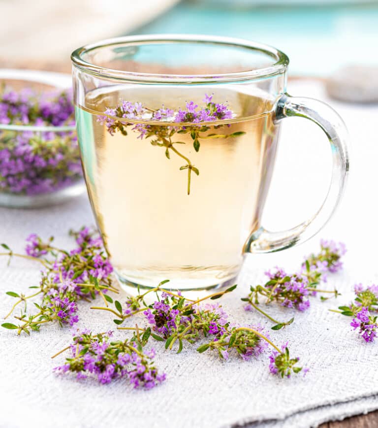 Tea Time Anytime: A Guide to Growing An Impressive Tea Garden