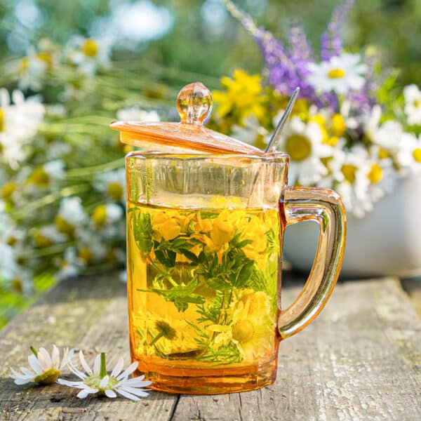 Tea Time Anytime: A Guide to Growing An Impressive Tea Garden