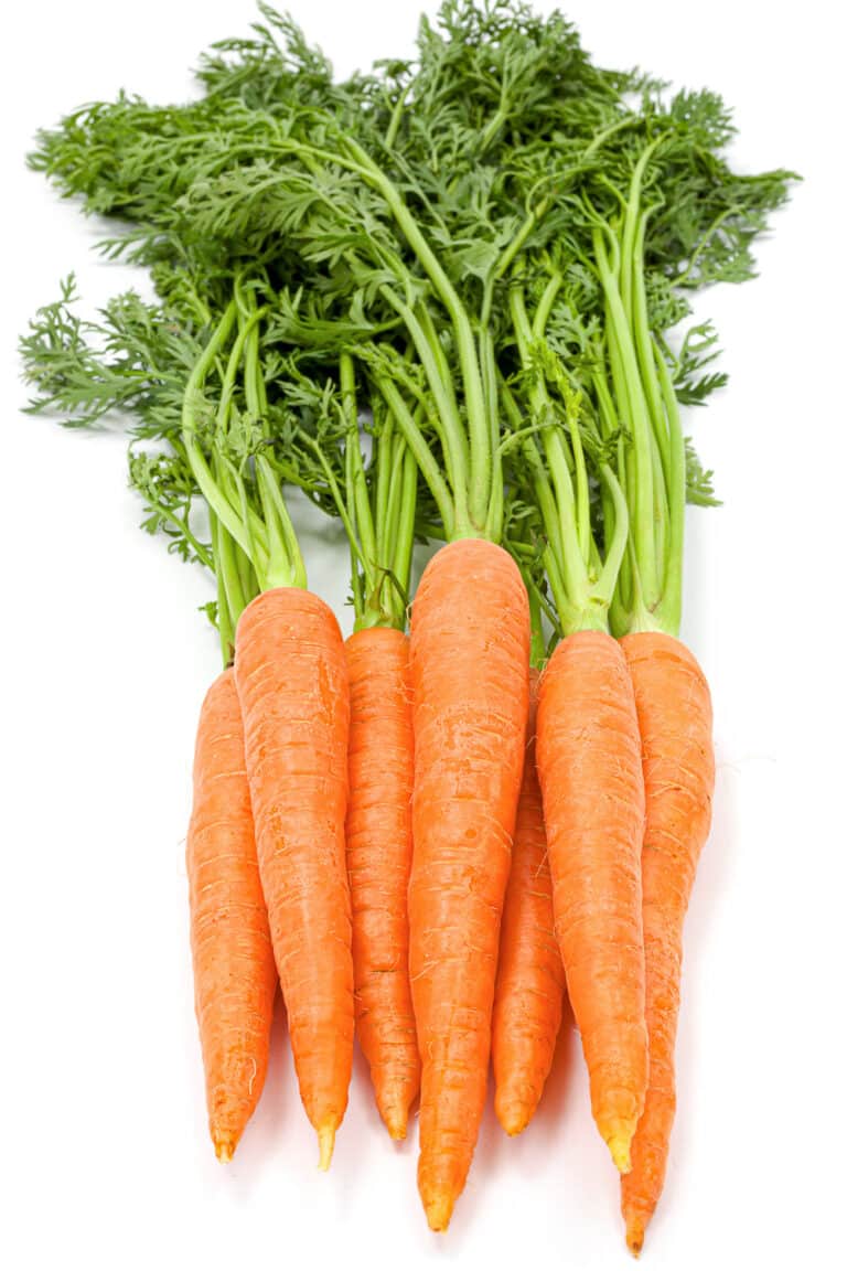 How and When to Harvest Carrots For Taste & Nutrition