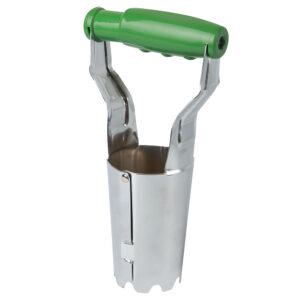 How to Grow Daffodil Bulbs from Bulb To Bloom