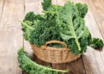How to Grow Kale and Pick The Best Variety For Your Garden