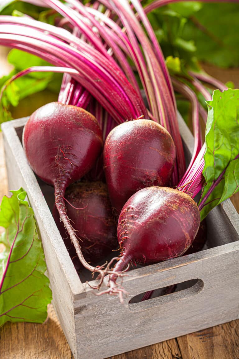 How to Grow Beets That are Sweet Tender and Tasty
