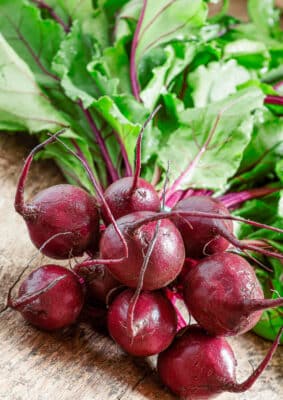 When To Harvest Beets: How to Tell Your Beet Crop is Ready